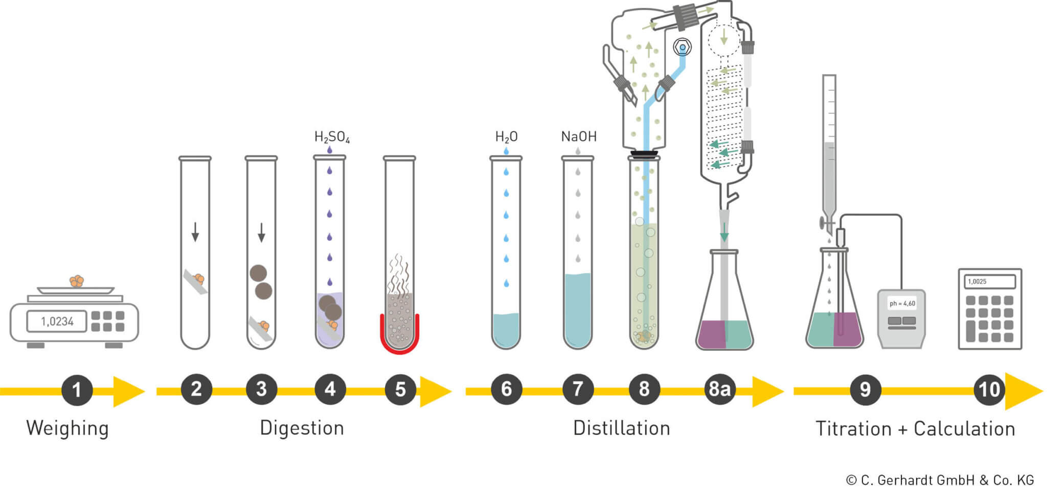Détermination des protéines: Kjeldahl ou Dumas ? - Benelux Scientific