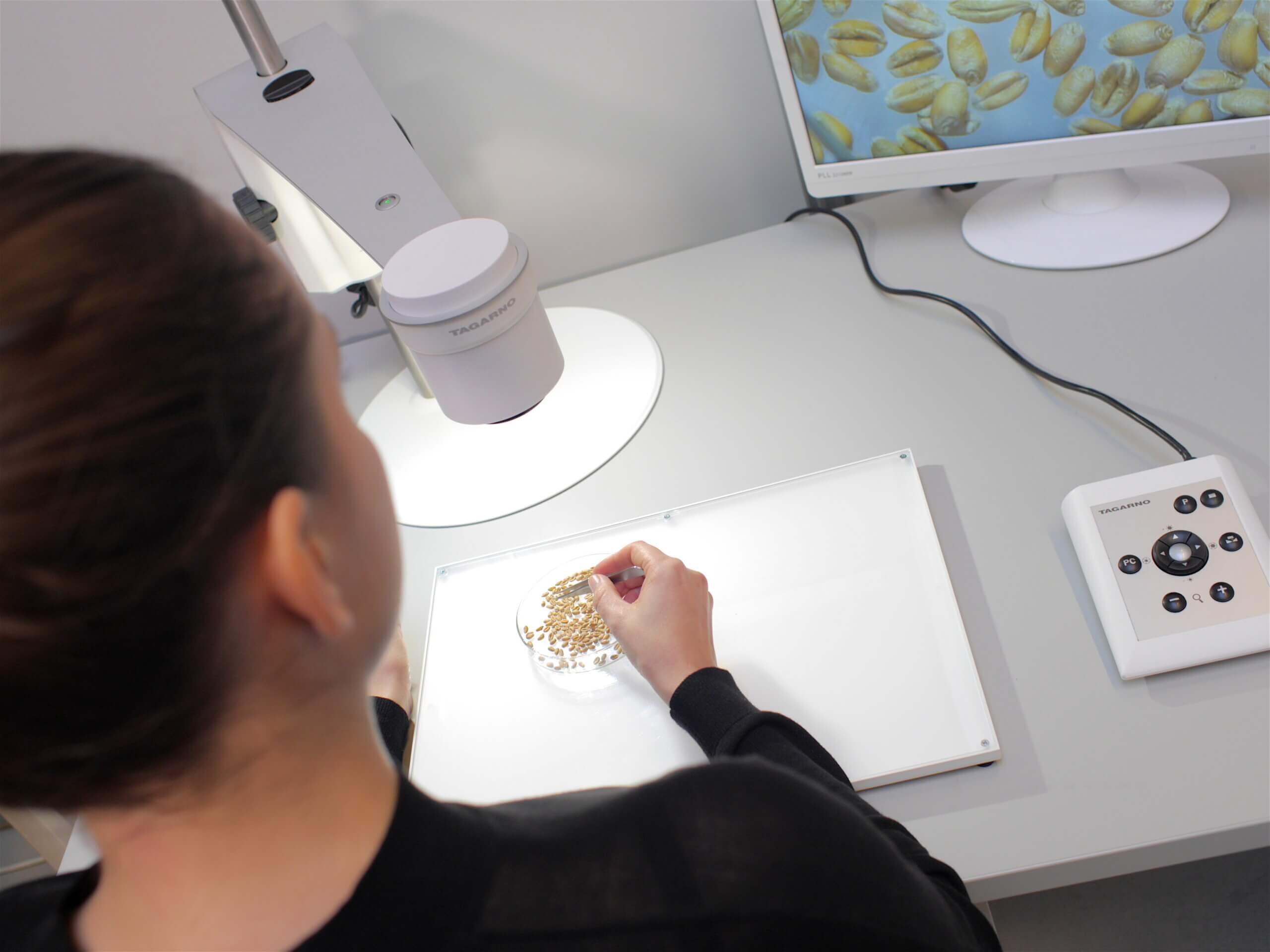 Digital & Electron microscopy - Benelux Scientific